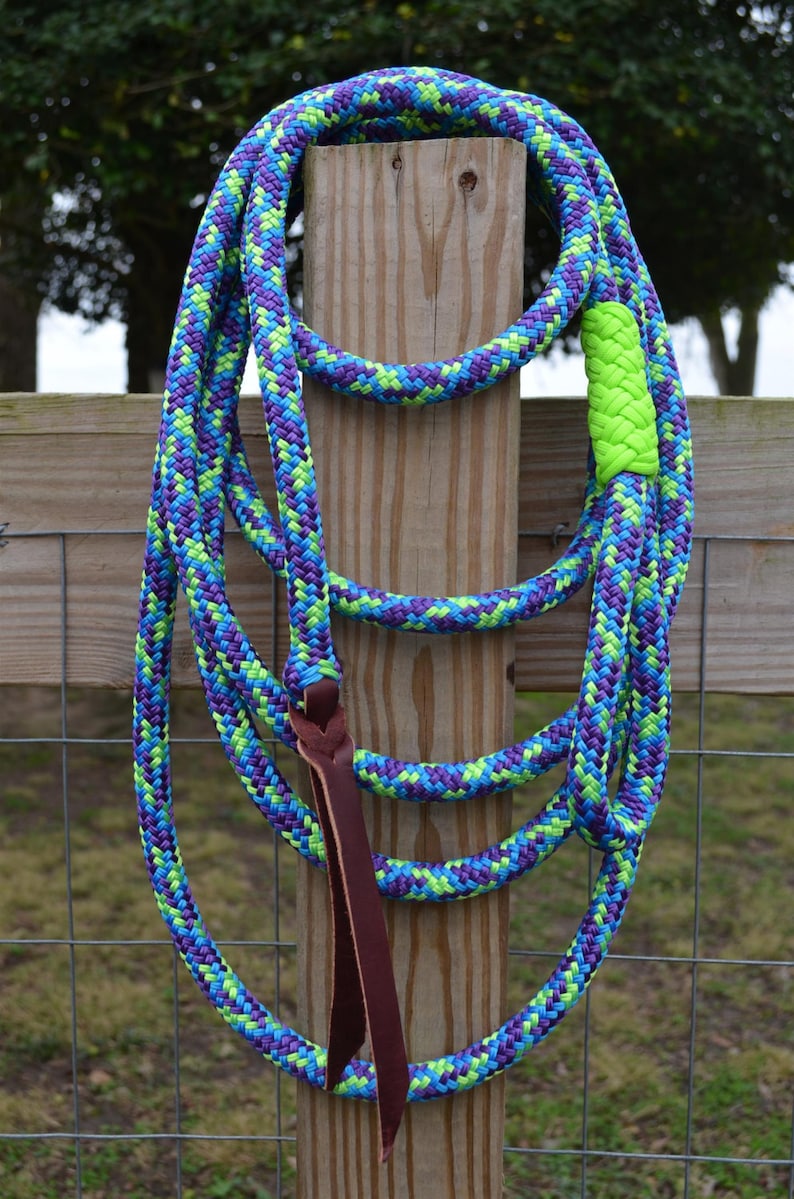 Custom made rope halter with matching yacht rope lead | Etsy