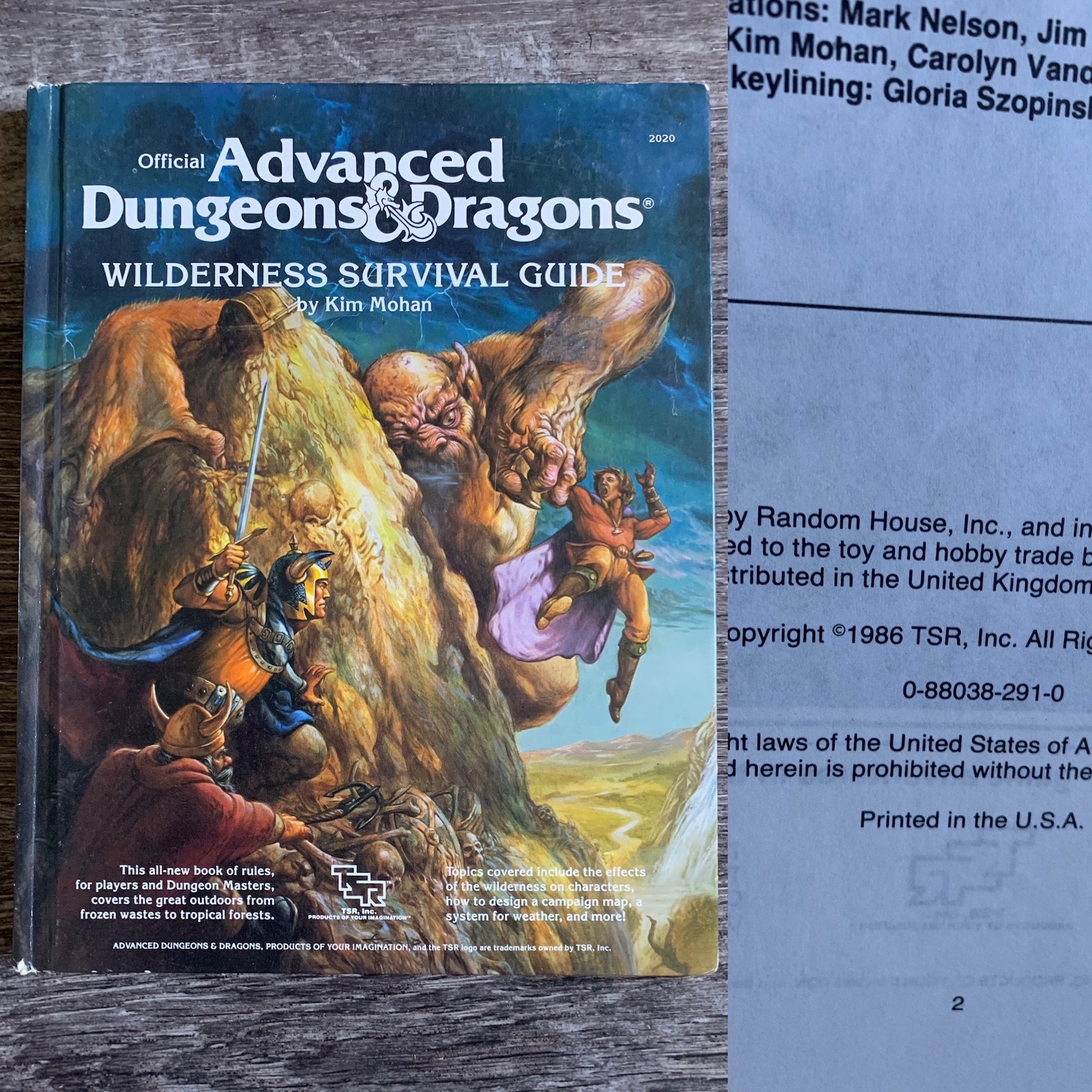 Vintage Dungeons and Dragons Collectible,dnd Role Play Books, Rare Dnd ...