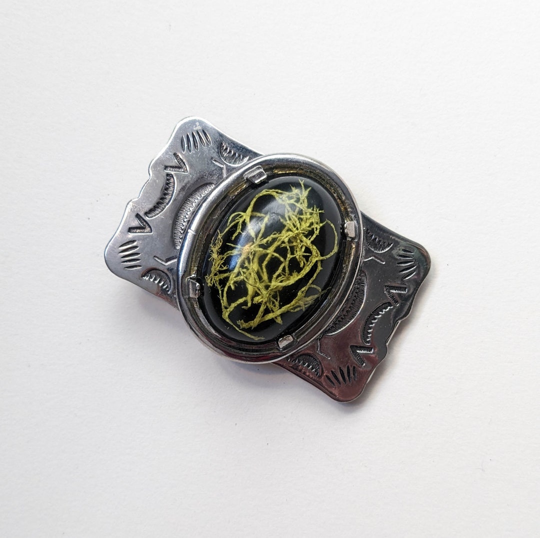 Wolf Moss Resin Silver Belt Buckle / Lichen Preserved Botanical Natural ...