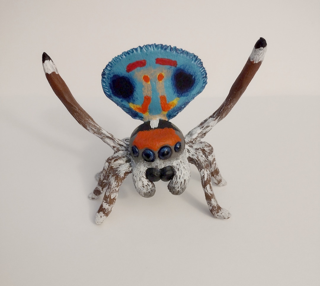 Handmade Polymer Clay Peacock Jumping Spider Maratus Amabilis Sculpture ...