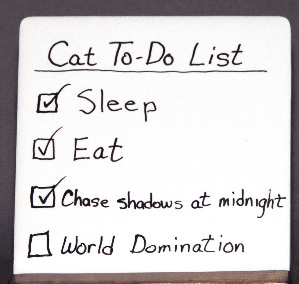 Cat to Do List, Funny Pet Sign, Ceramic Table Top Sign - Etsy