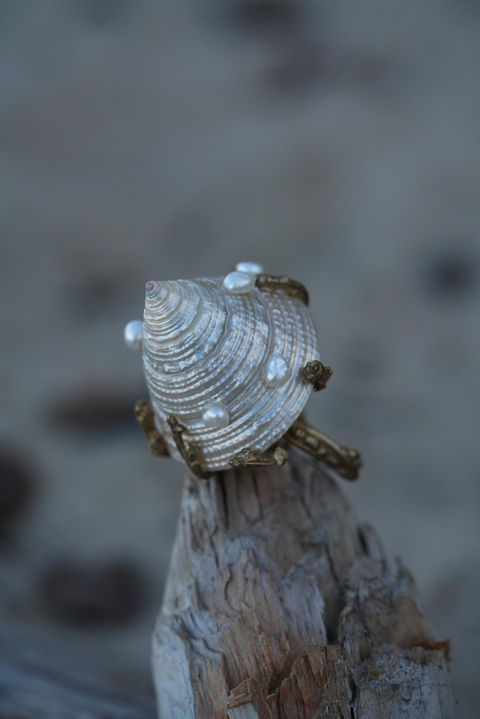 A Wonderful Ring With a Huge Pearl Shell - Etsy