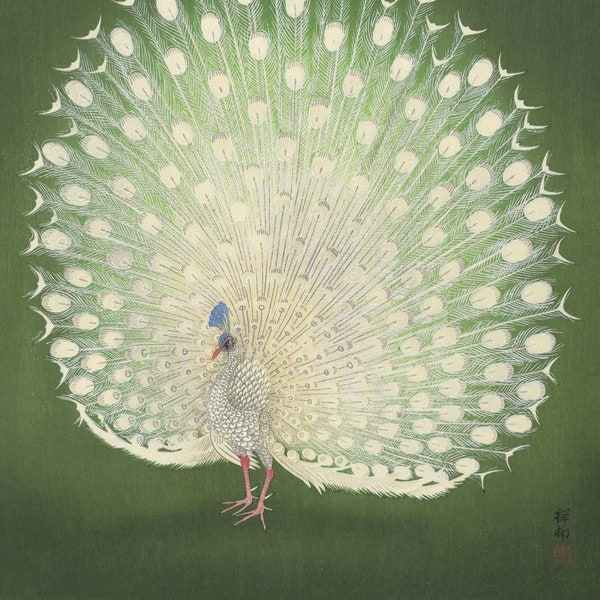 Art Deco Peacock - Etsy