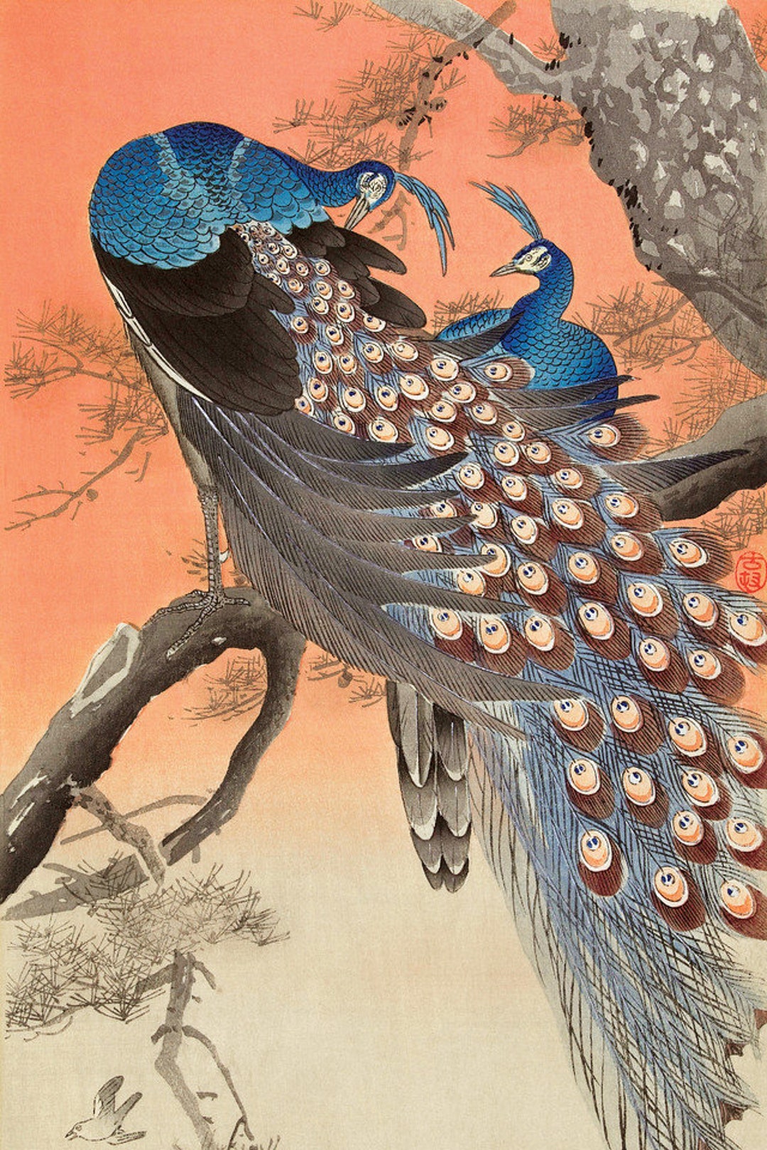 LARGE Art Deco Peacocks, Peacock Art, Peafowl Art, Peacock, Peafowl ...