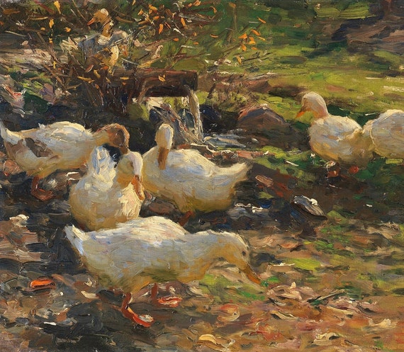 Max And Duck