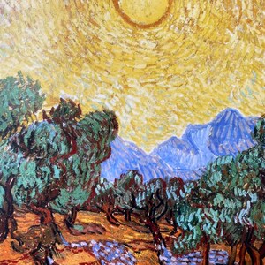 Vincent Van Gogh, Olive Trees With Yellow Sky and Sun, Art Print ...