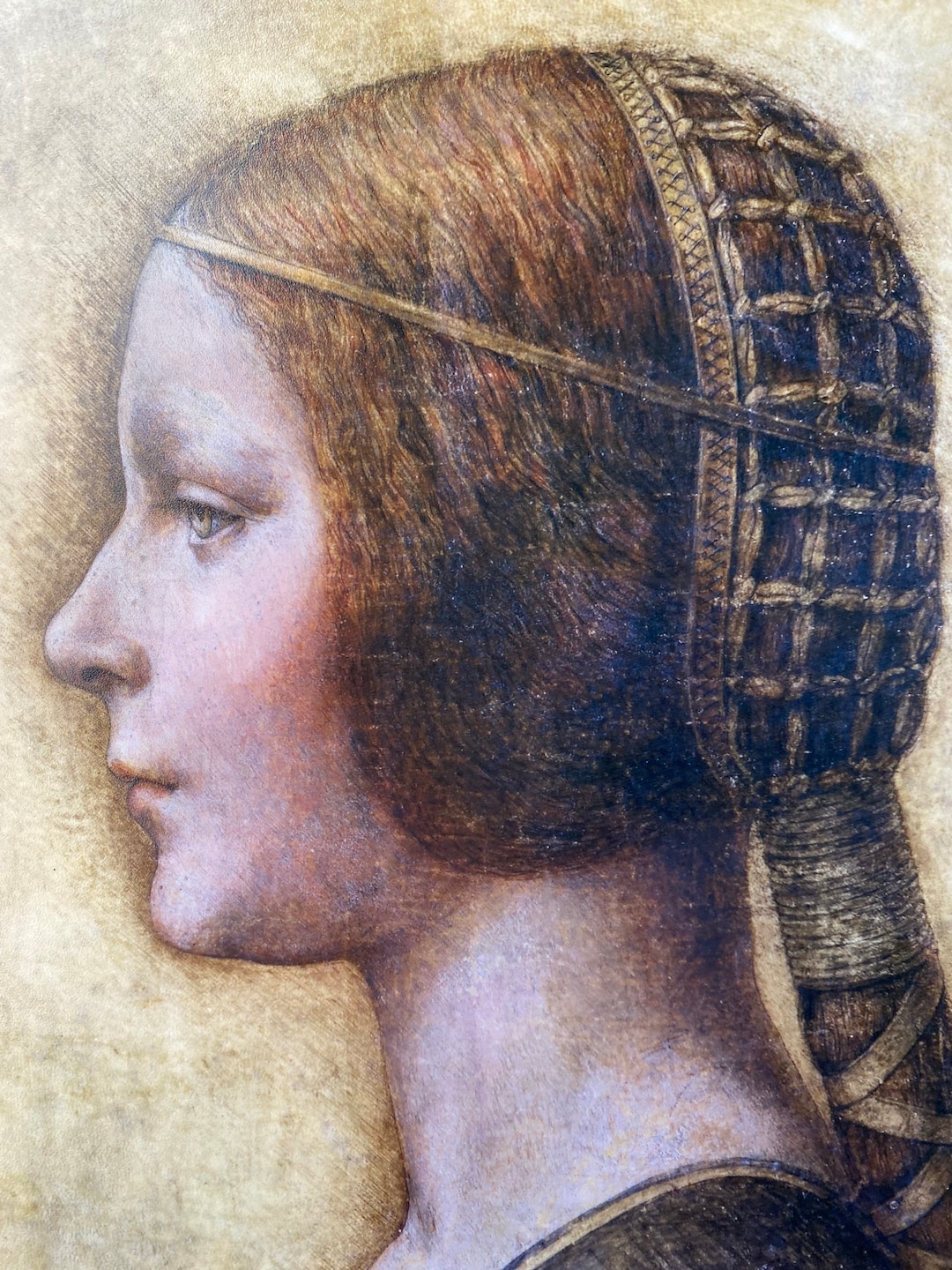 Da Vinci, Portrait of a Woman, Leonardo Da Vinci, Renaissance Art ...