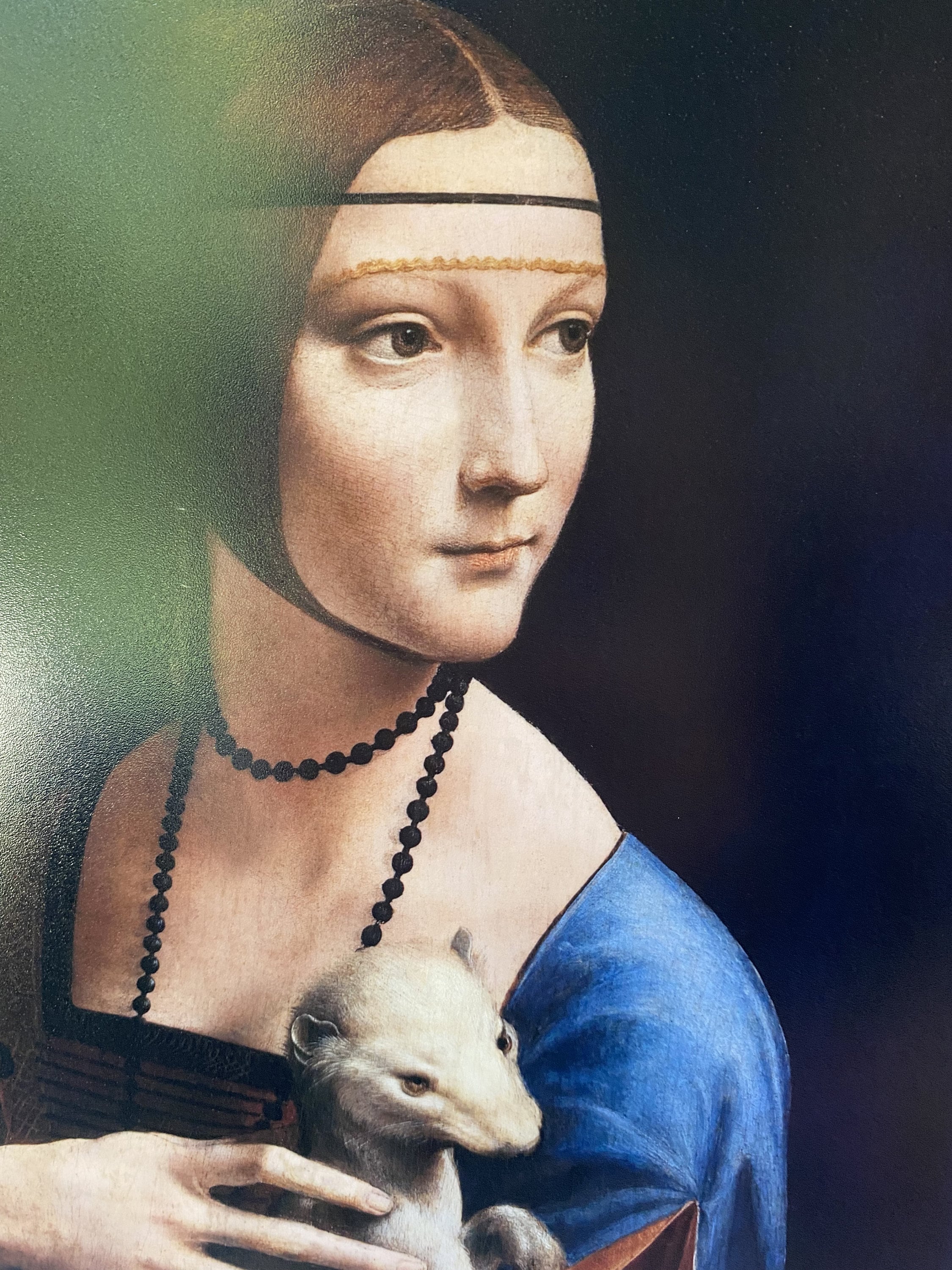 Leonardo Da Vinci Lady With An Ermine