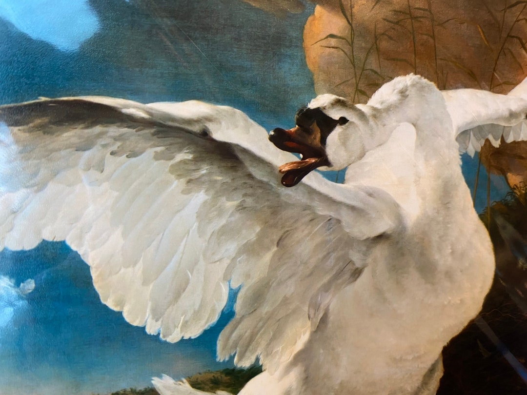 The Threatened Swan by Dutch Golden Age Painter Jan Asselijn 8x10 Fine ...