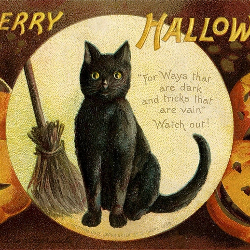 Victorian Halloween - Etsy