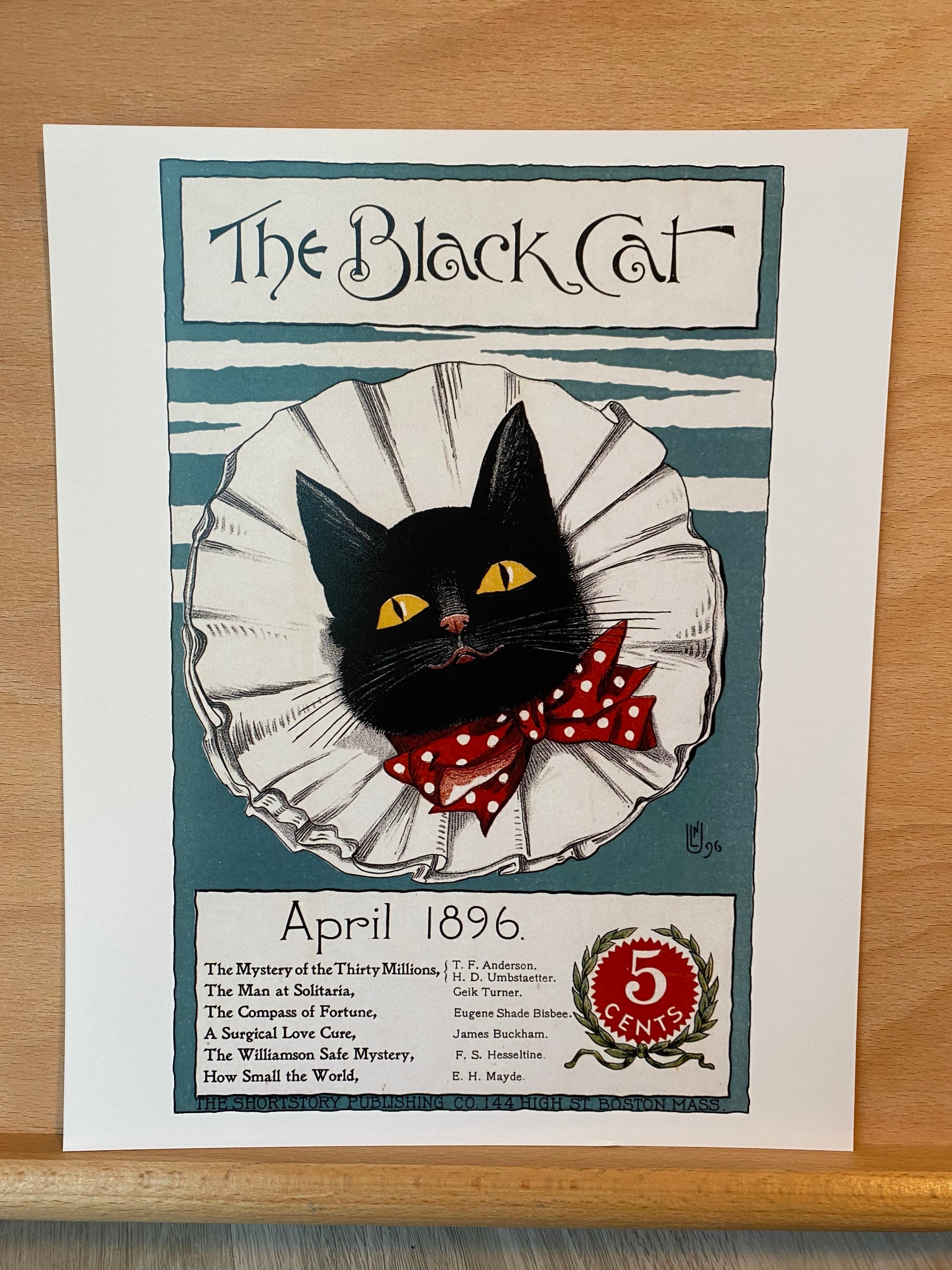 Cat Transformation Art