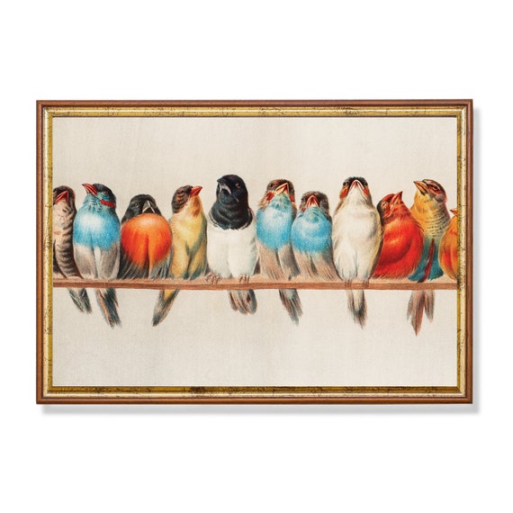 LARGE Vintage Bird Poster Bird Art Bird Wall Art Birds | Etsy