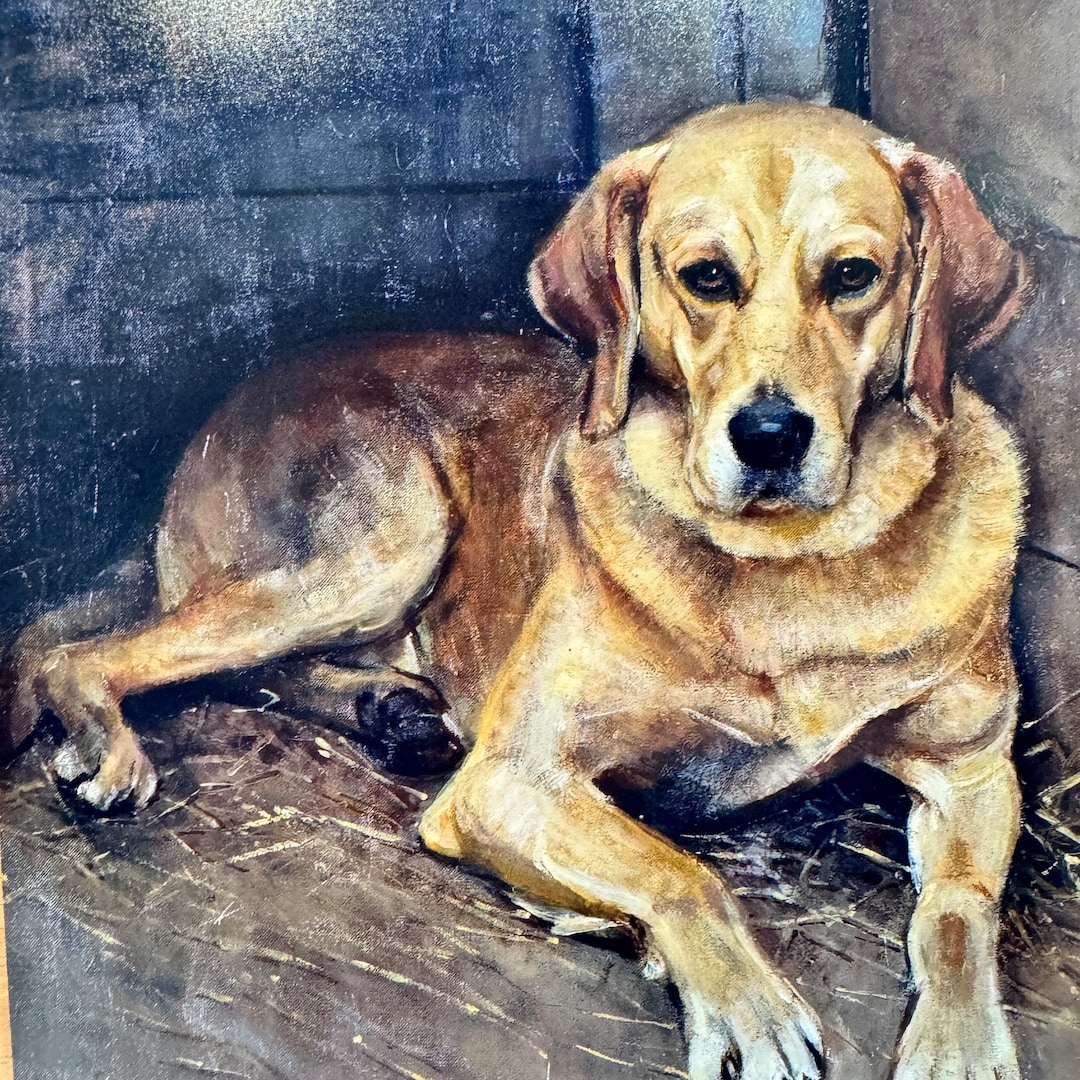 Samuel Fulton, Luath the Labrador, SAM FULTON, Art Print, Artwork ...