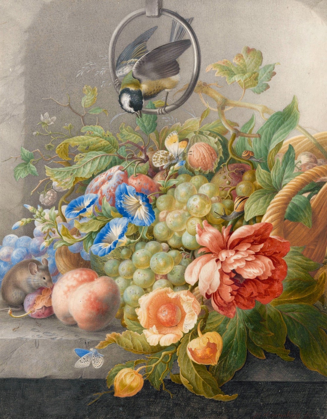 Bird, Still Life Floral Arrangement, Fruit Still Life, Artwork, Flowers ...