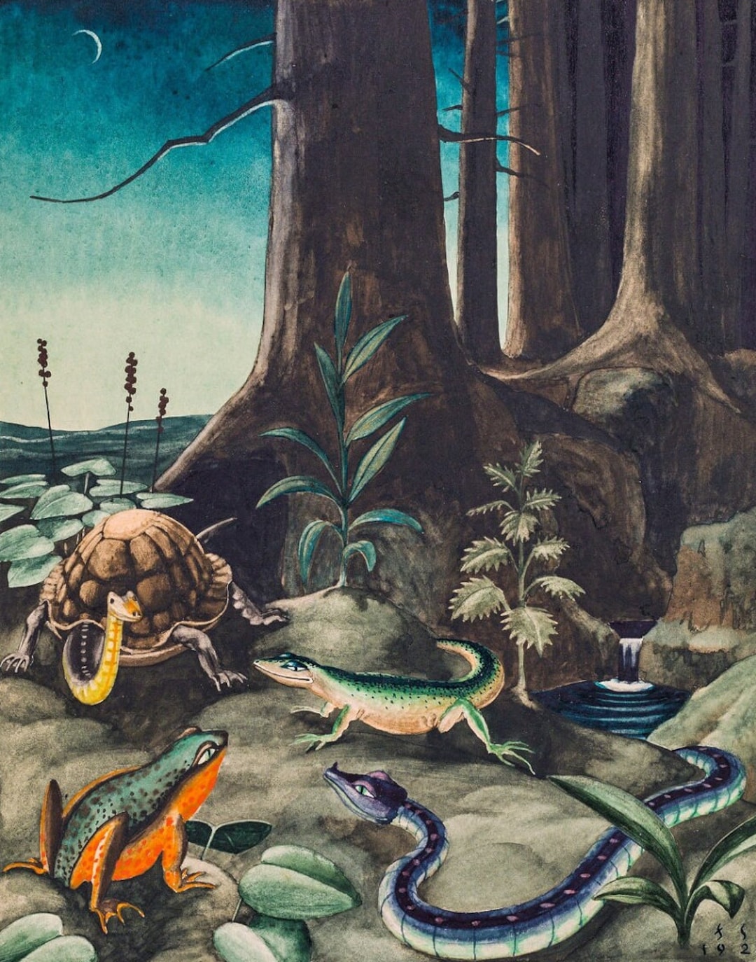 Lizard and Frog Art, Surreal Art, Curiosities and Oddities, Weird Art ...