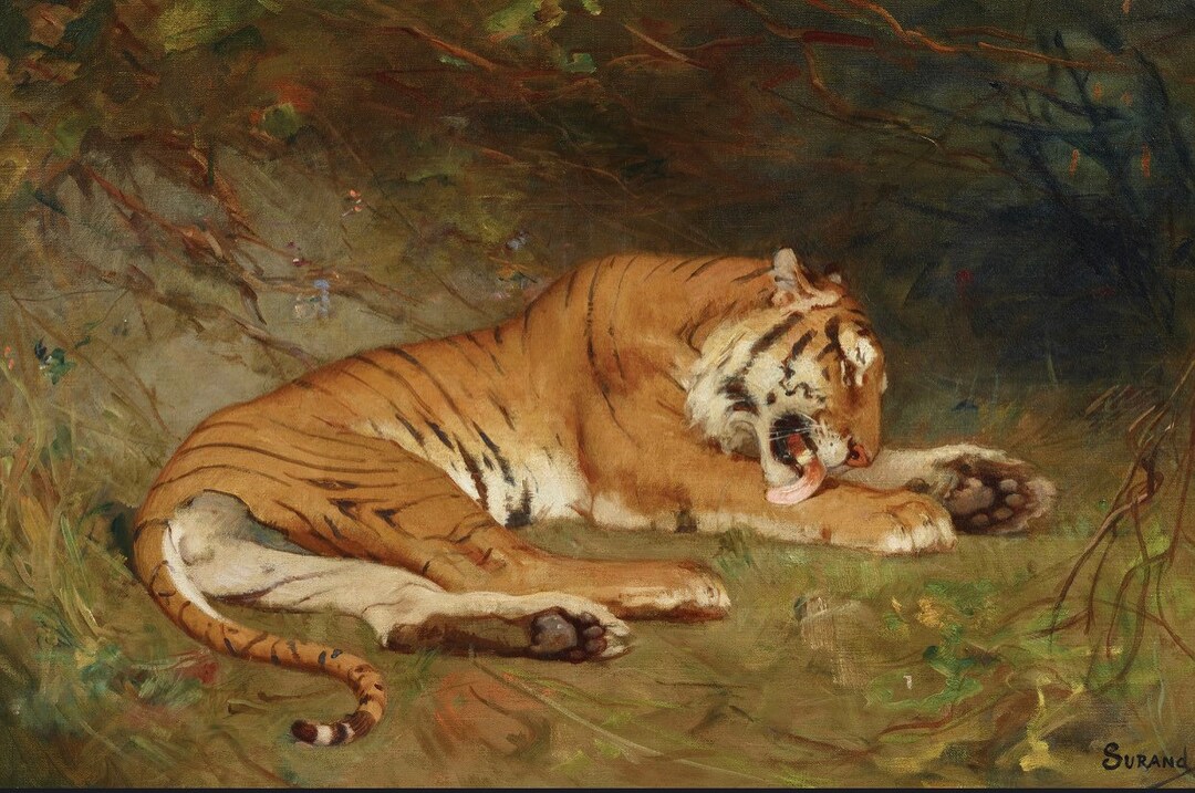 Large, Tiger Art Print, Vintage, Tigers, Tiger Art, Poster Print, Wall ...