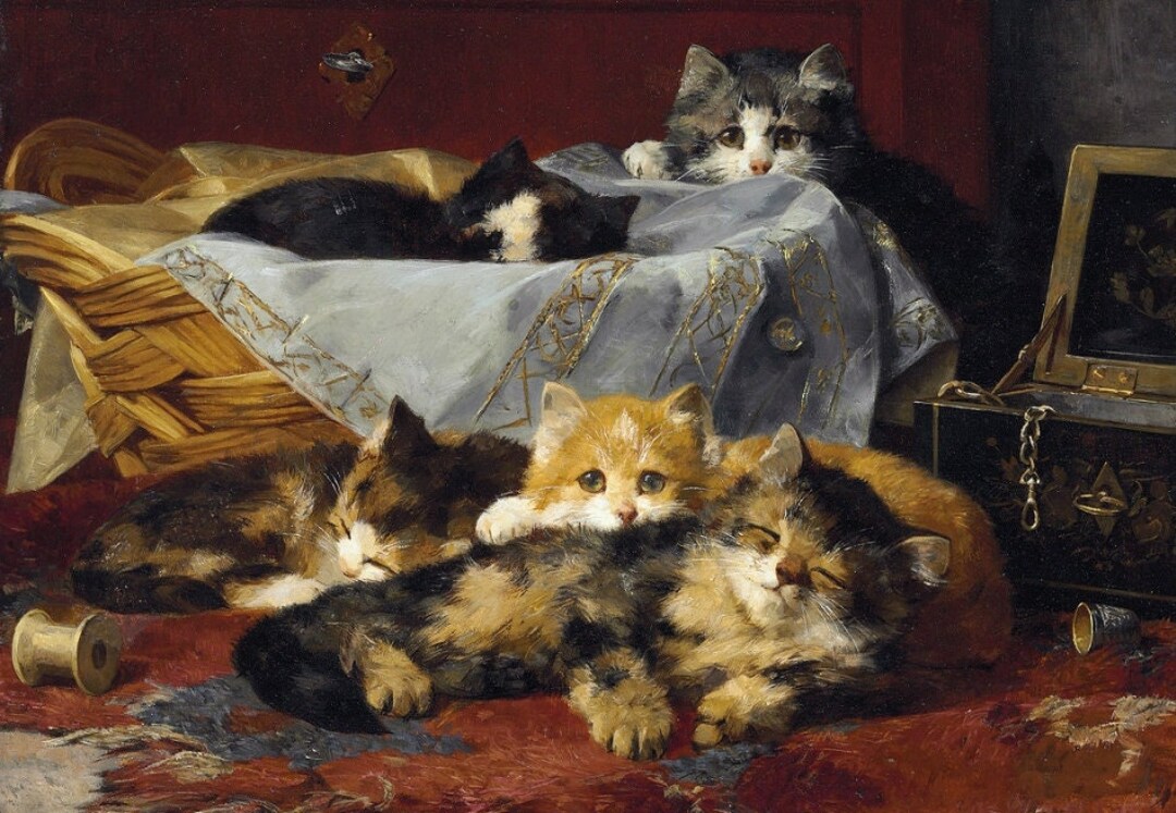 Cat Art, Cat Artwork, Cat Print, Cat Wall Art, Cat Decor, Gift for Her ...