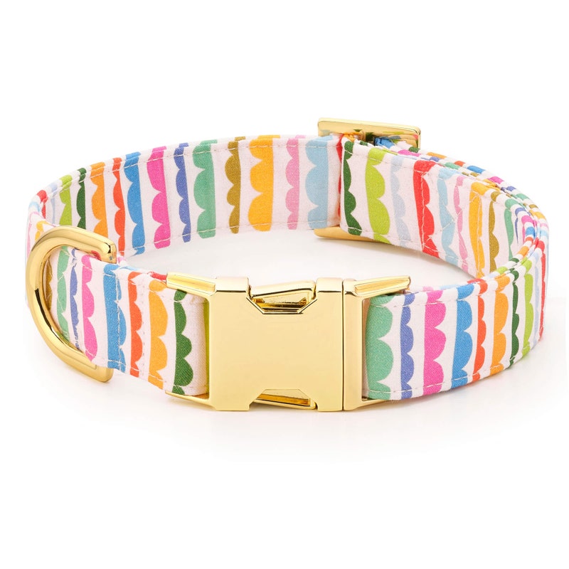 Fun Dog Collar - Etsy