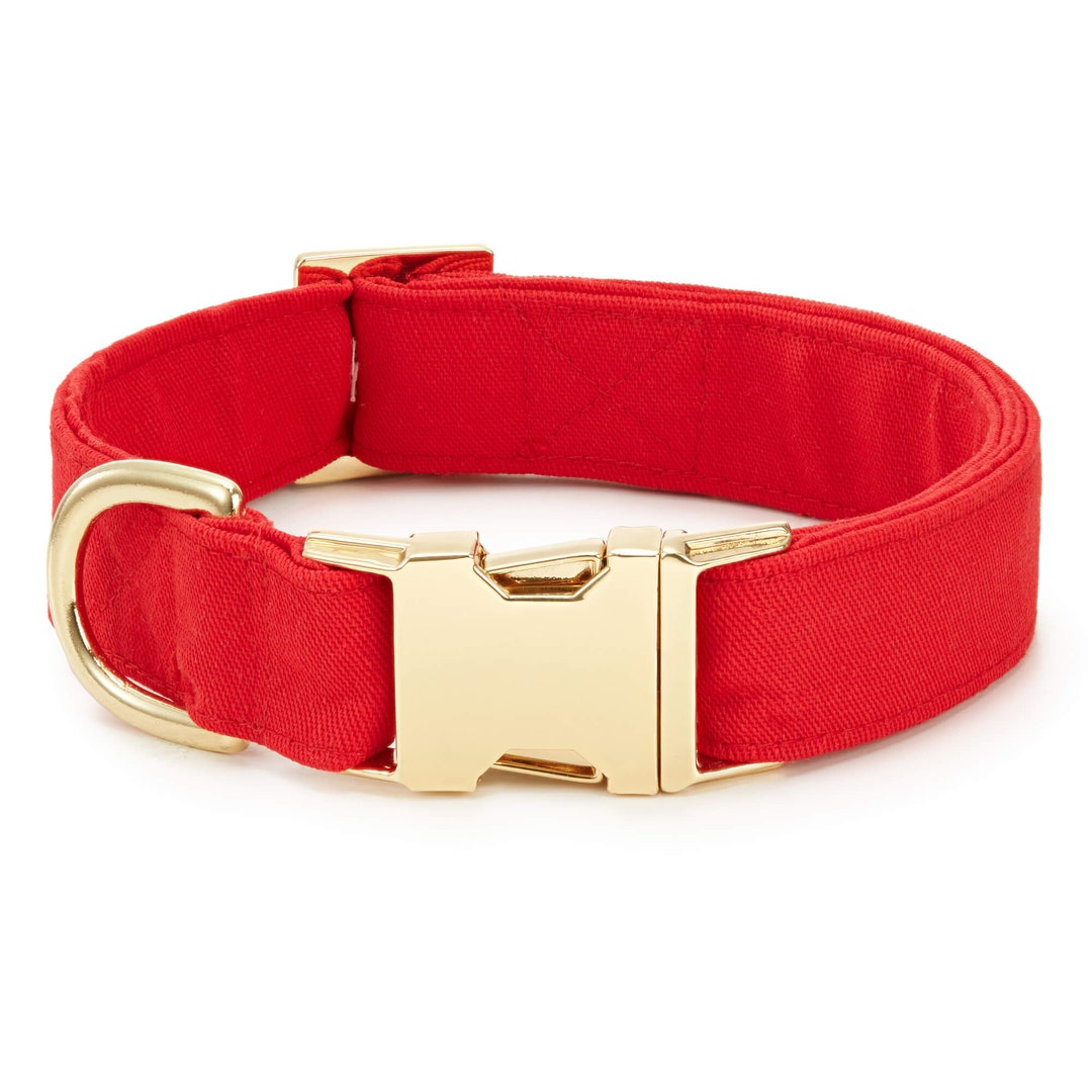 SECONDS SALE: Ruby Dog Collar // Solid Dog Collar // Modern Pet Collar ...