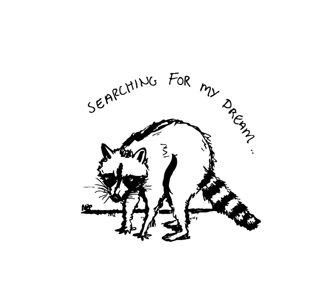 Raccoon PNG | Digital Raccoon Sketch | Funny Raccoon Art | - Original ...