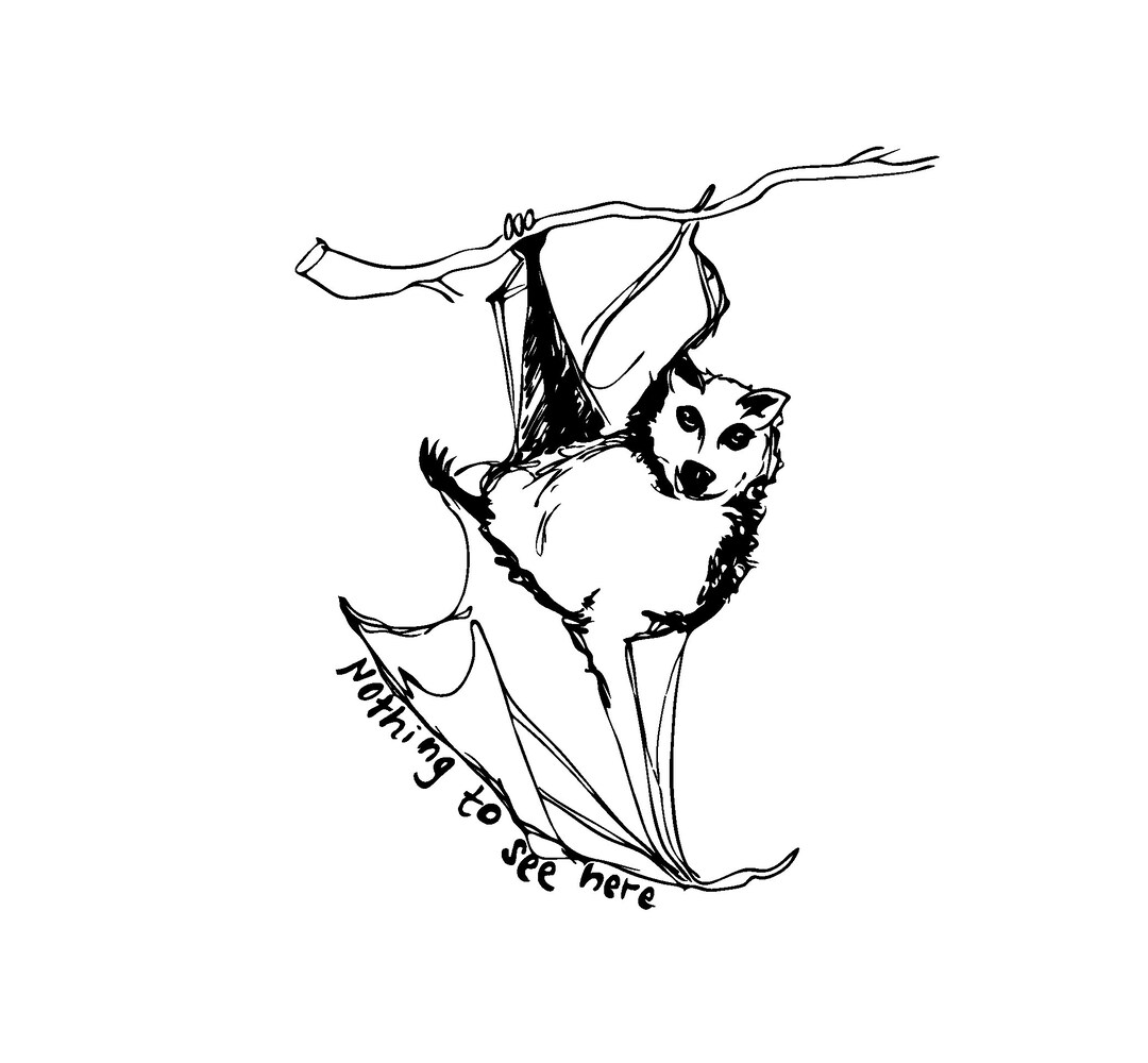 Fruit Bat Drawing | Bat Art | Digital Bat Sketch Print | Funny Bat Art ...