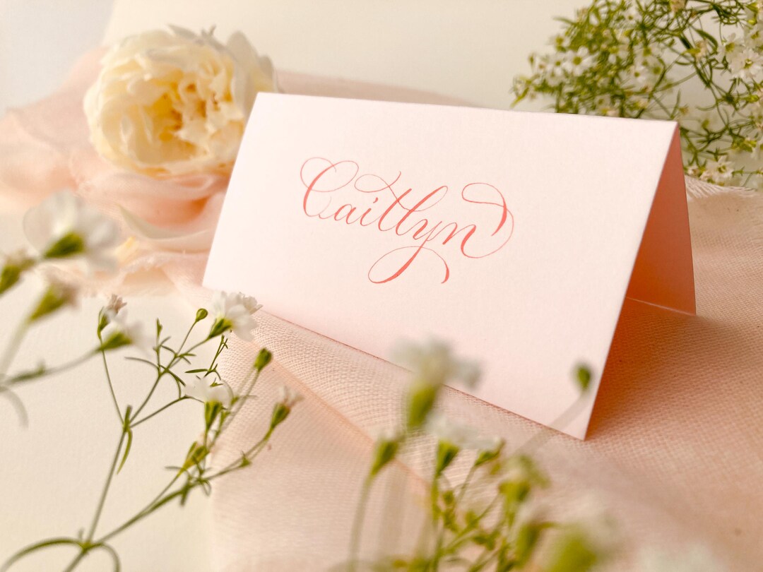 Pale Blush Pink Tent Fold Place Names for Weddings With Professional ...