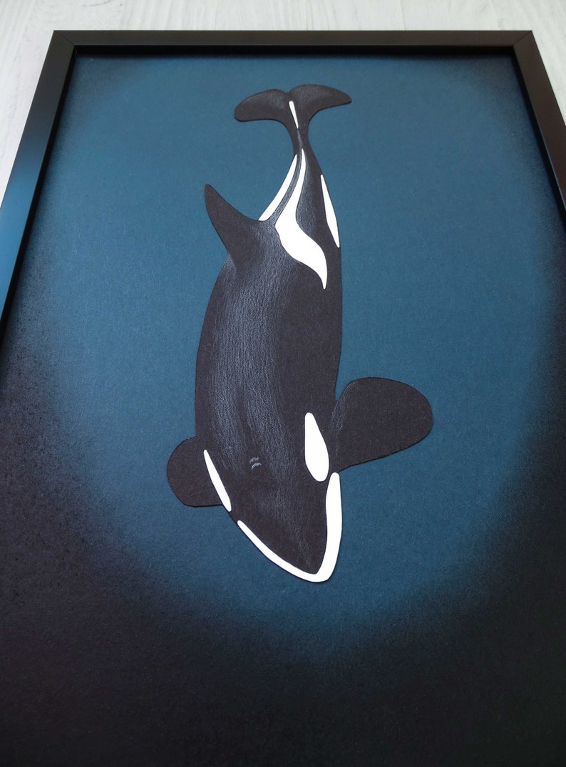 Orca Whale Paper Cut Art Killer Whale Illustration - Etsy