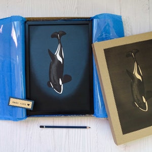 Orca Whale Paper Cut Art Killer Whale Illustration - Etsy