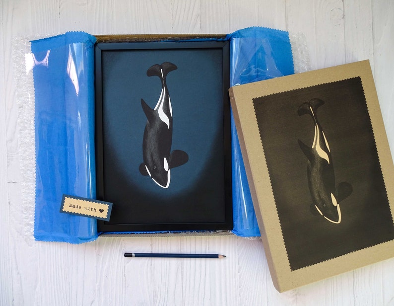 Orca Whale Paper Cut Art Killer Whale Illustration - Etsy