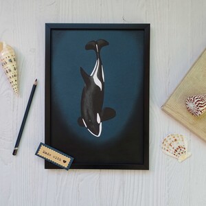 Orca Whale Paper Cut Art Killer Whale Illustration - Etsy
