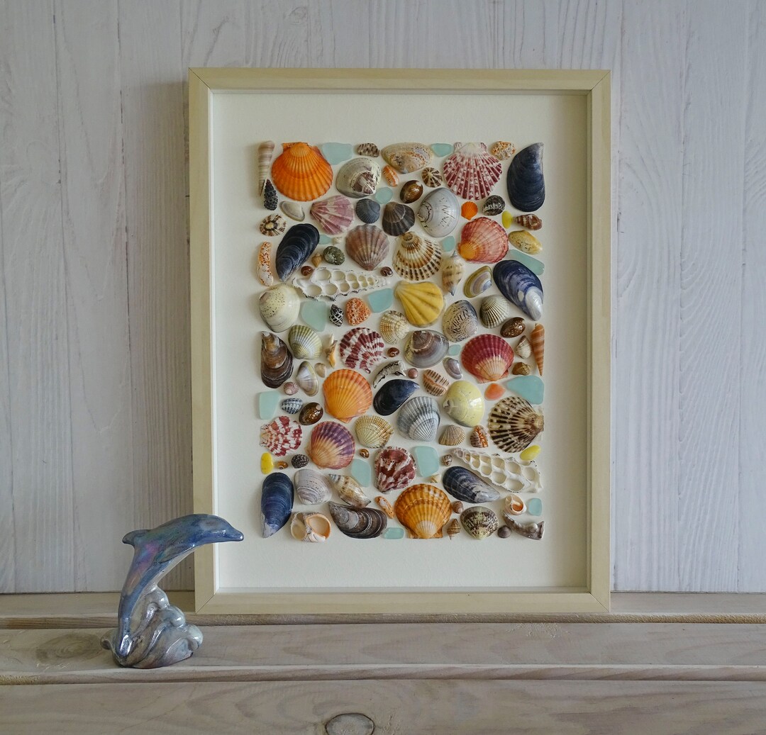 Seashell Framed Art - Etsy