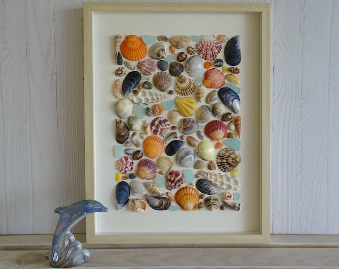 Seashell Framed Art - Etsy