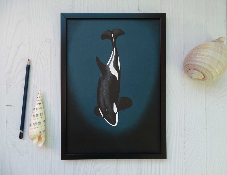 Orca Whale Paper Cut Art Killer Whale Illustration - Etsy