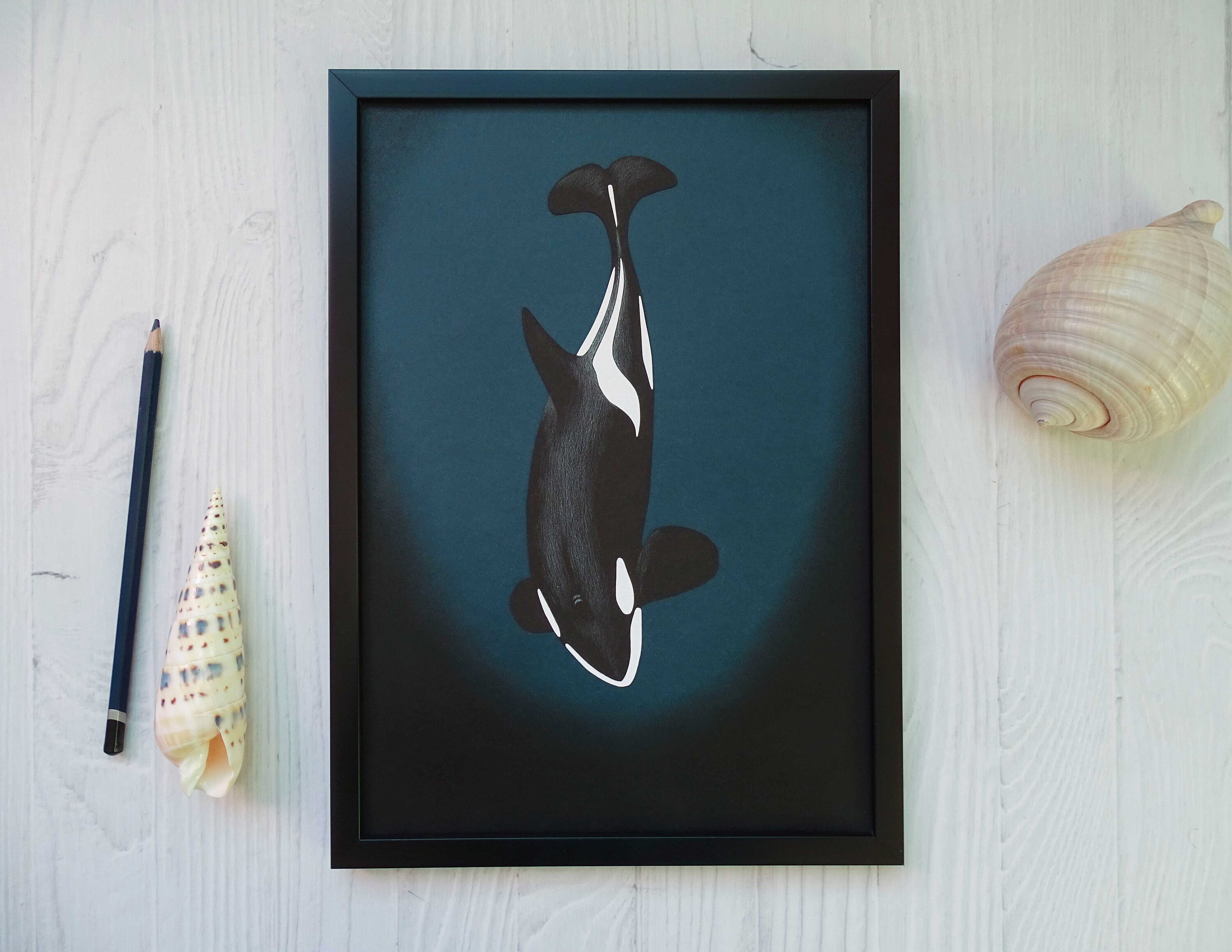 Orca Whale Paper Cut Art Killer Whale Illustration - Etsy