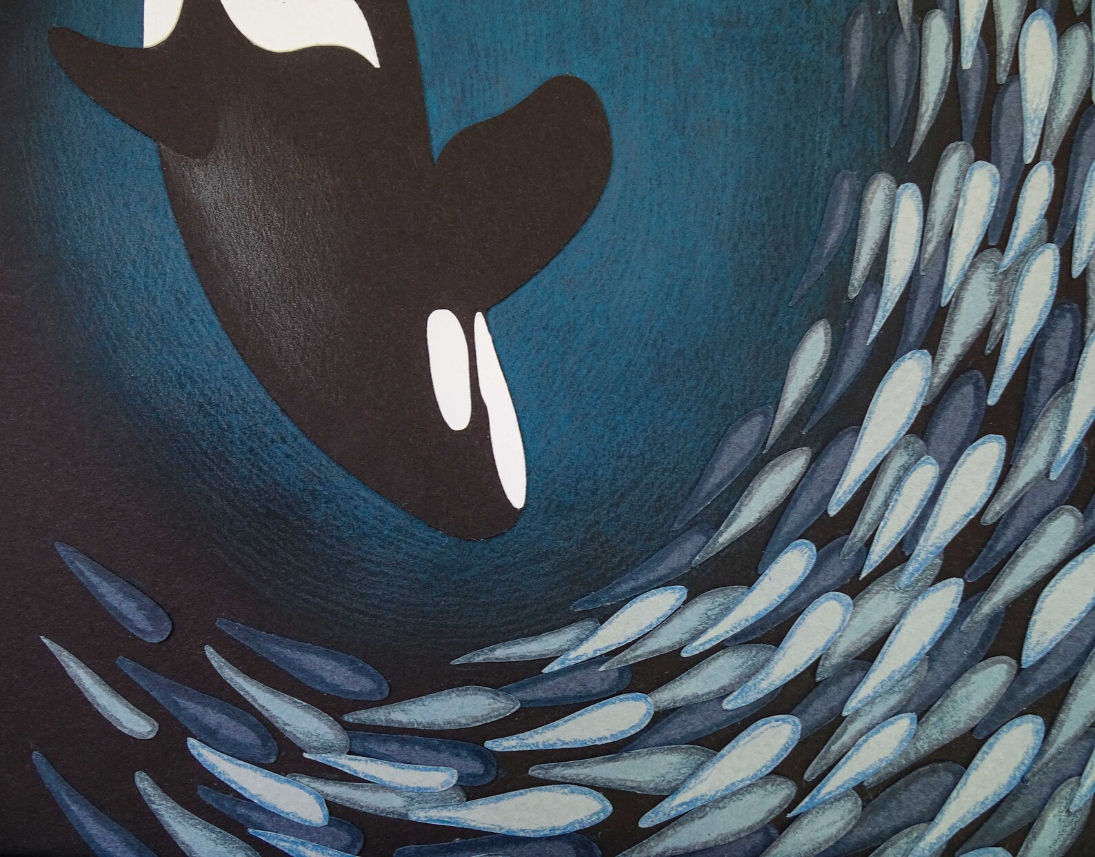 Orca Whale Paper Cut Art Killer Whale Illustration - Etsy