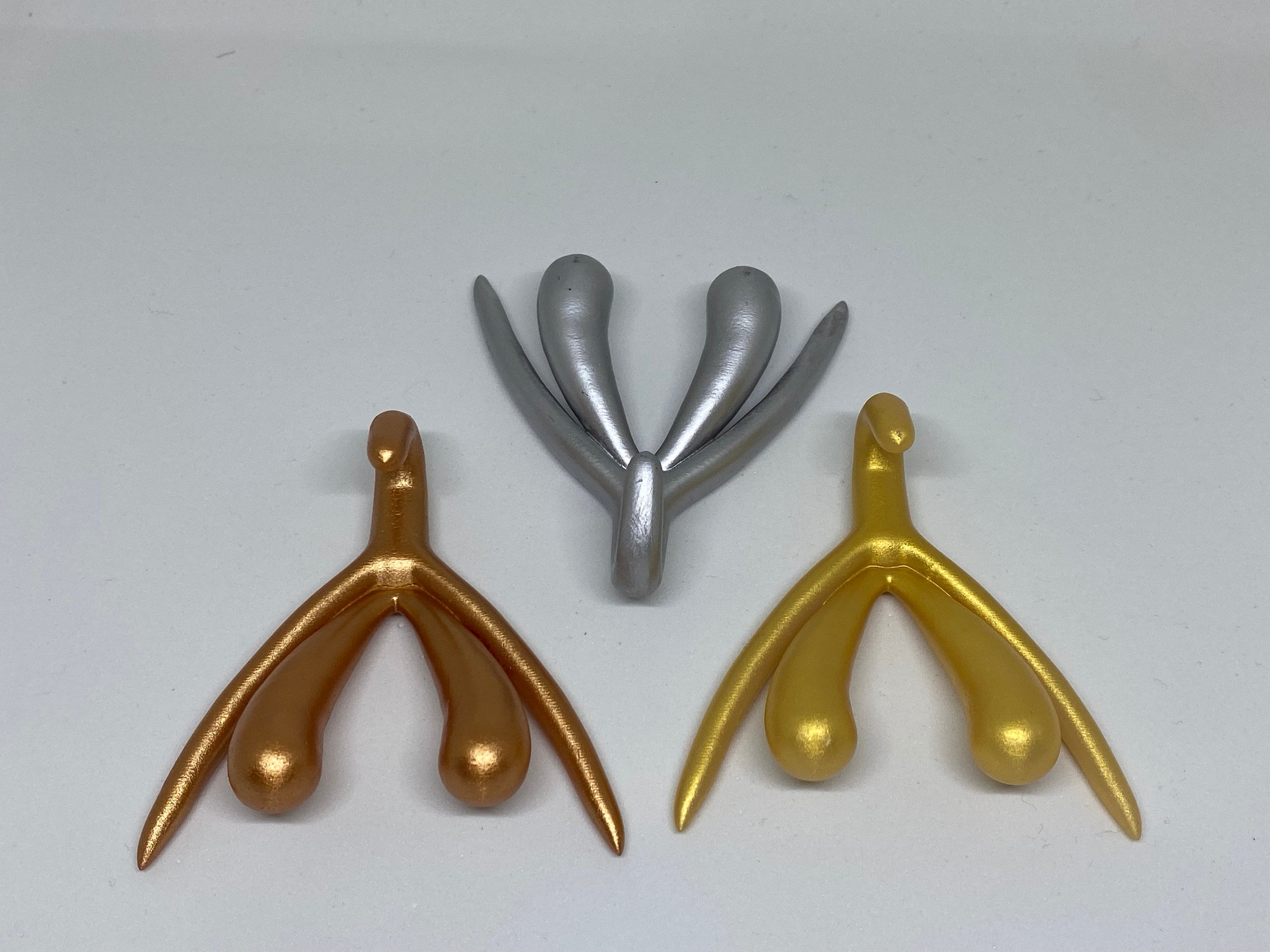 Clítoris - Modelo anatómico de tamaño completo - Etsy España