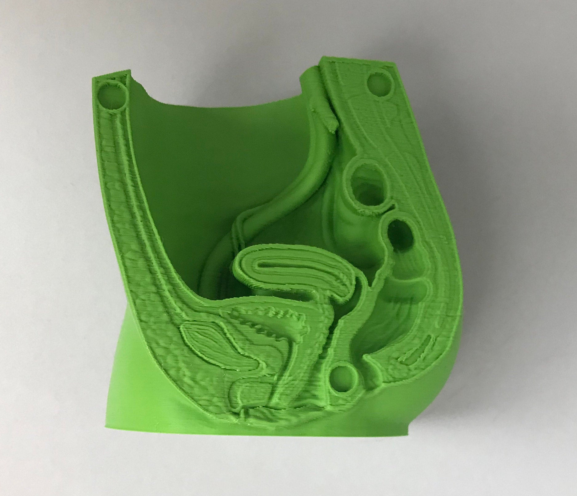 Female Pelvis - Median Section Educational Model - Etsy