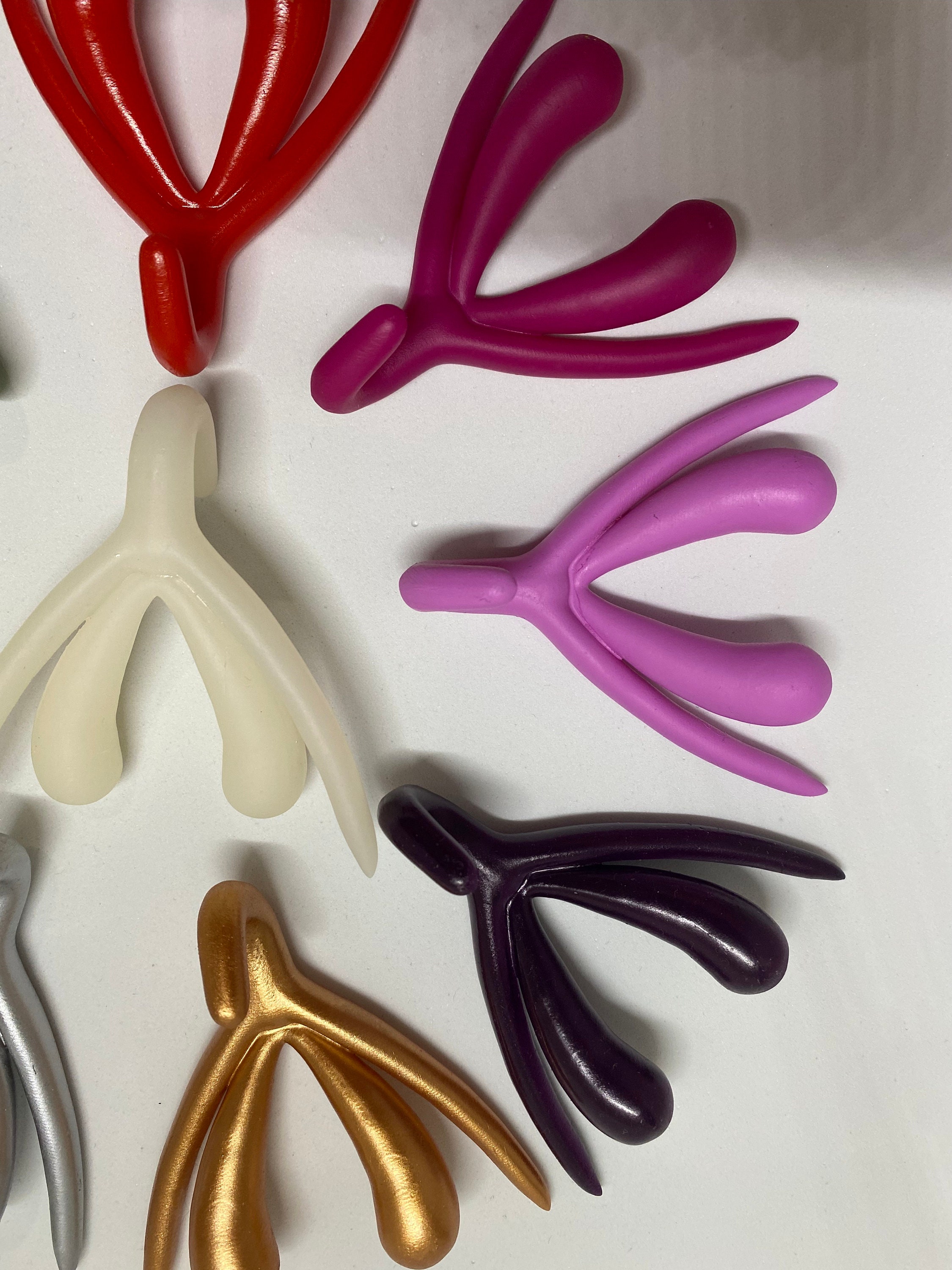 Clitoris - Full Size Anatomical Model - Etsy