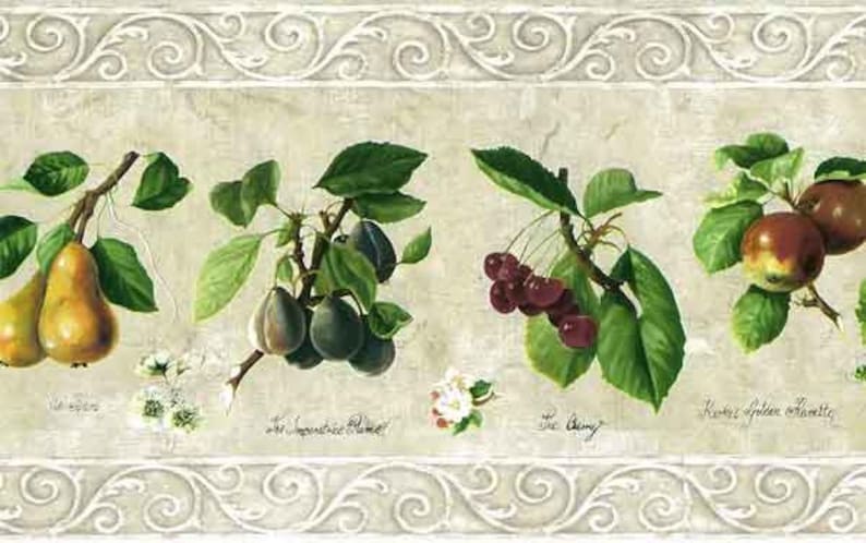 Cream FRUIT Wallpaper Border French Botanical York JD1071B Yellow Pears ...