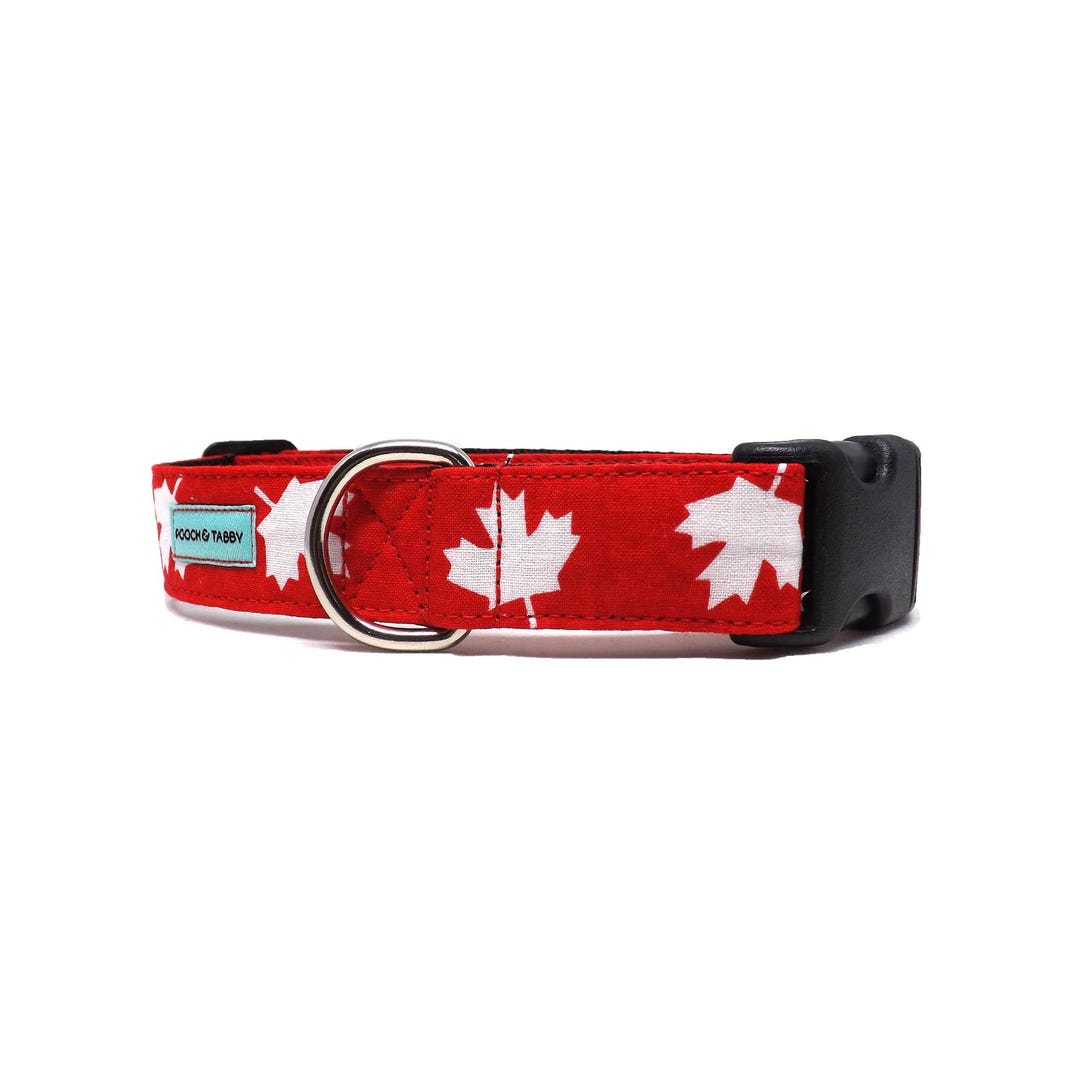 Maple Leaf - Dog Collar / Canadian Pride, White & Red Maple Leaf Design ...