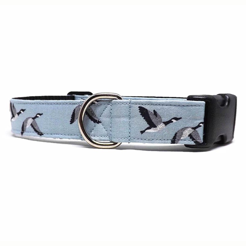 Goober Dog Collar - Etsy