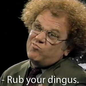 Dr. Steve Brule DINGUS Patch - Etsy