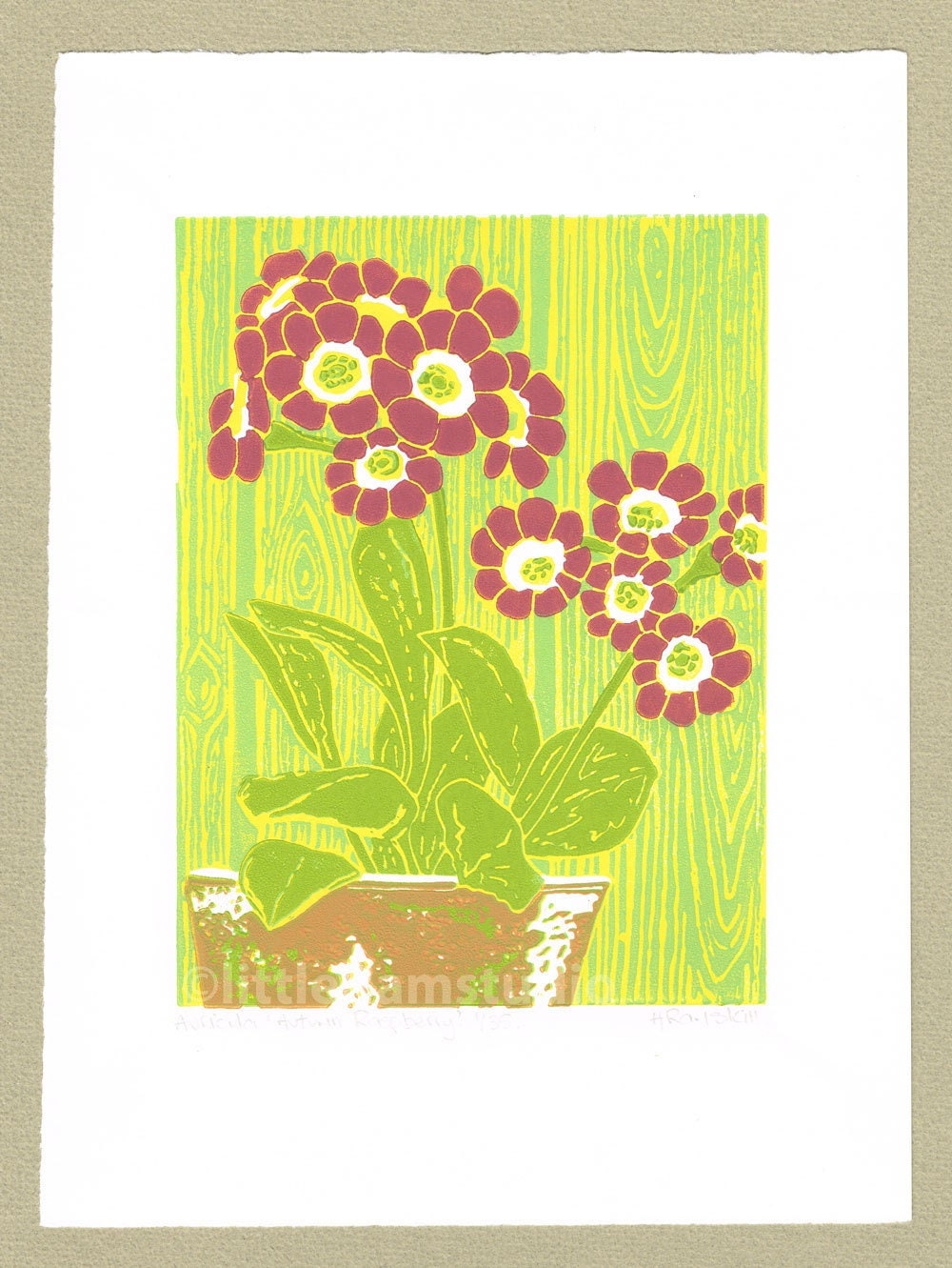 Auricula Flower Art Print Autumn Raspberry Original - Etsy UK