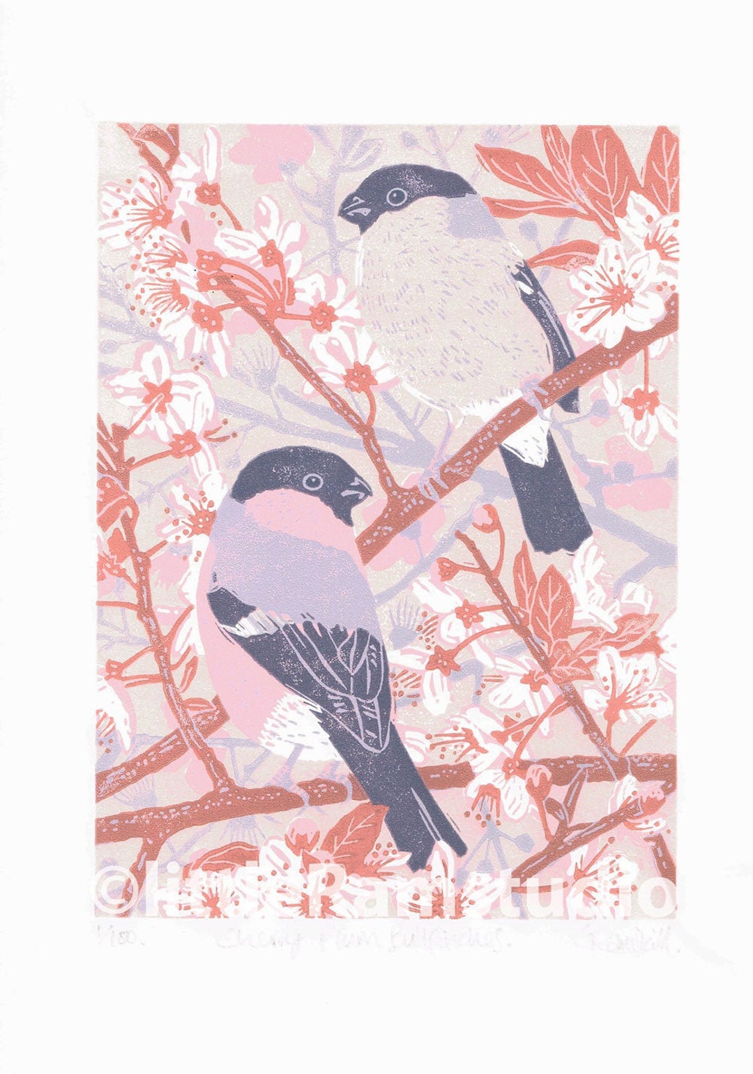 Bullfinch Print, Bullfinch Linocut Print, Bullfinch Art Print Original ...