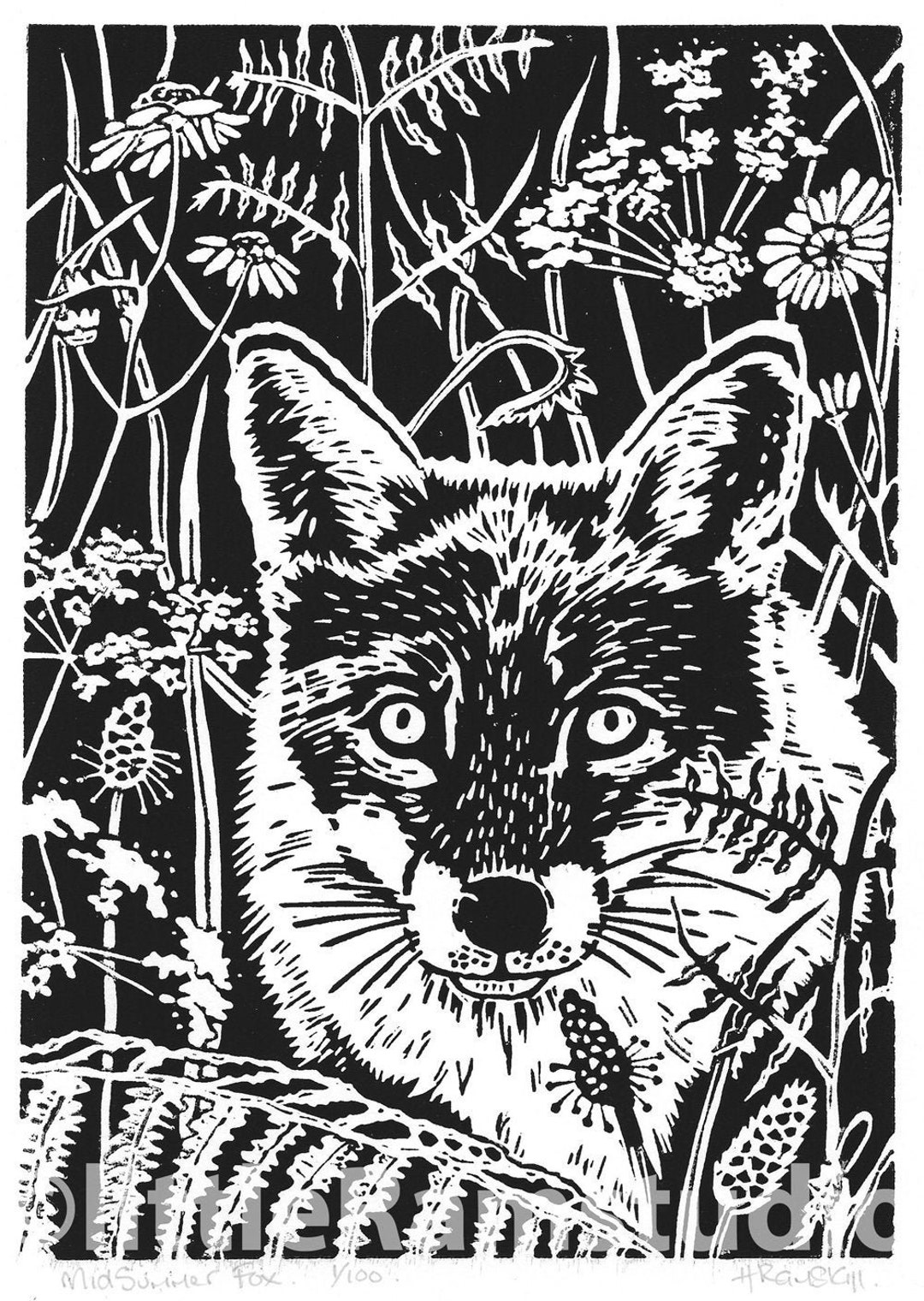 Fox Linocut Print, Midsummer Fox Limited Edition Linocut Print - Etsy