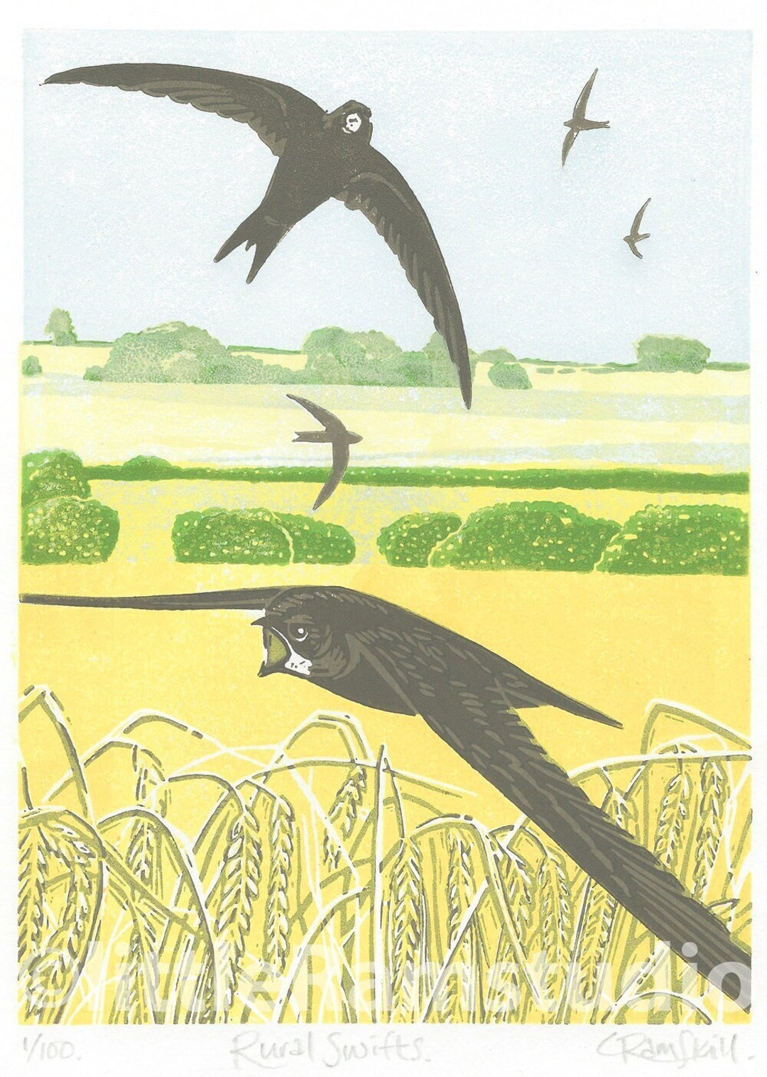 Rural Swifts Linocut Print - Limited Edition Rural Swifts Linocut Print ...
