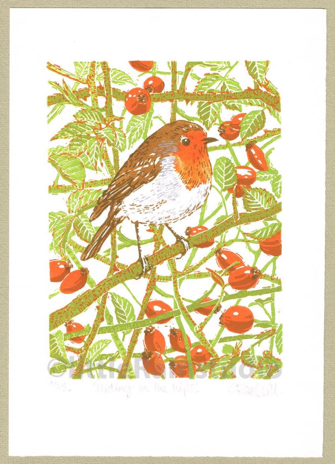 Robin Print, Robin Linocut Print, Robin Limited Edition Linocut Print ...
