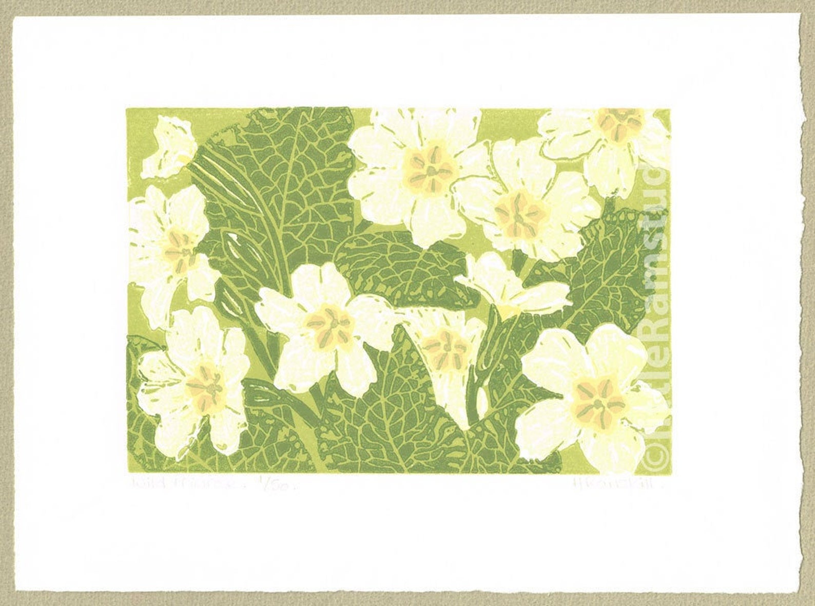 Primroses Print Primroses Art Primrose Flower Linocut Print - Etsy UK