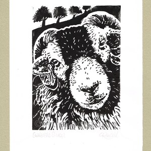Swaledale Sheep Linocut Original hand-pulled Relief Print | Etsy