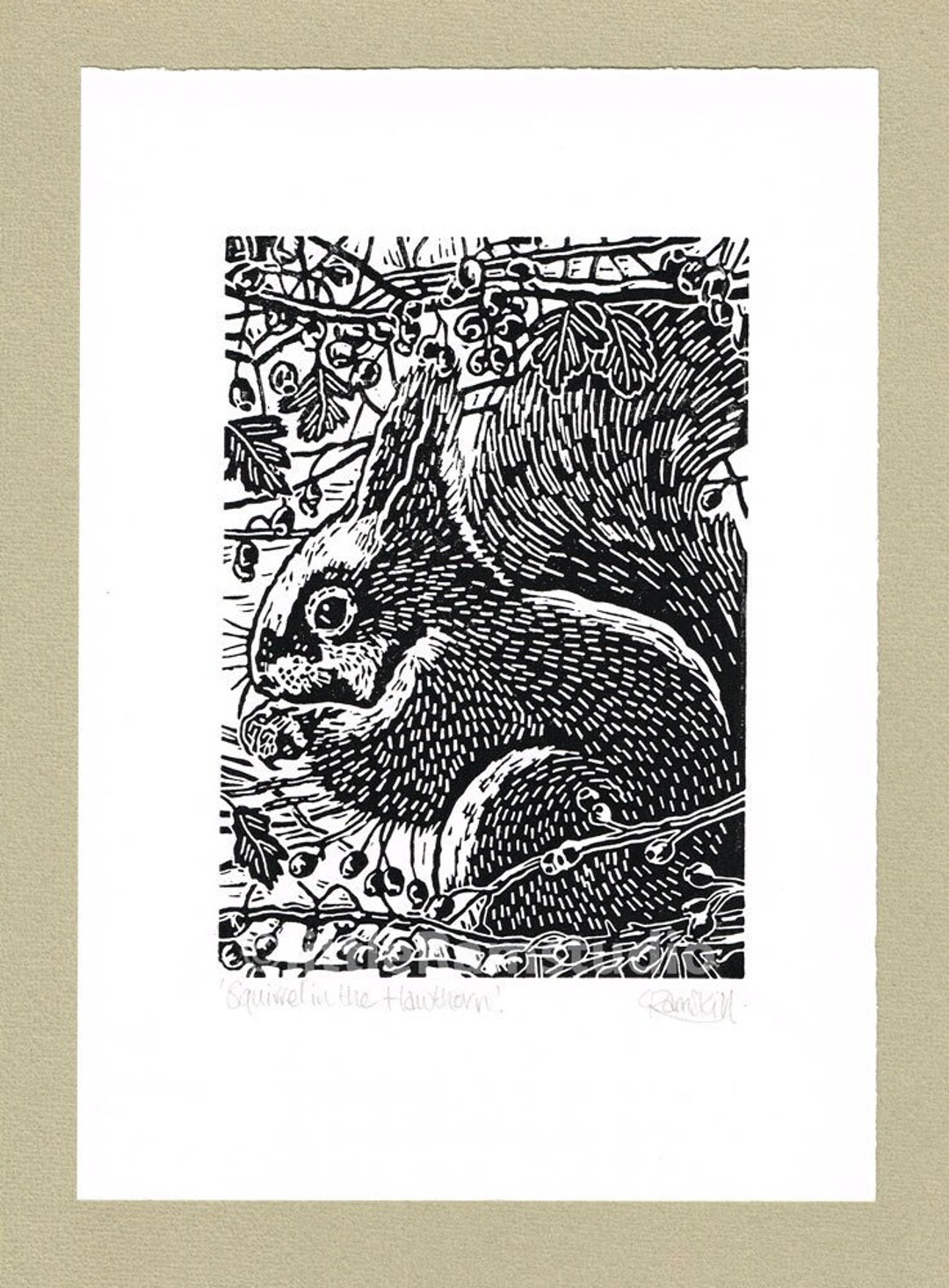 Squirrel Art Print Squirrel Linocut in Black Ink Original - Etsy